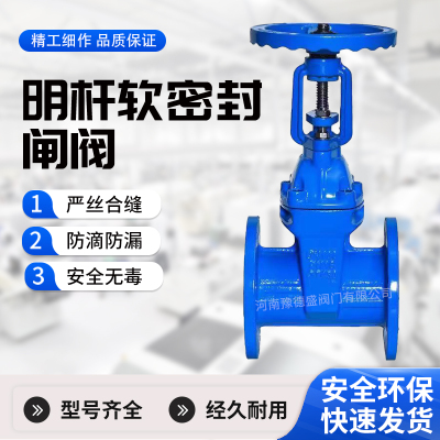 明杆软密封法兰闸阀弹性座封球墨铸铁消防自来水闸阀门DN40-1000