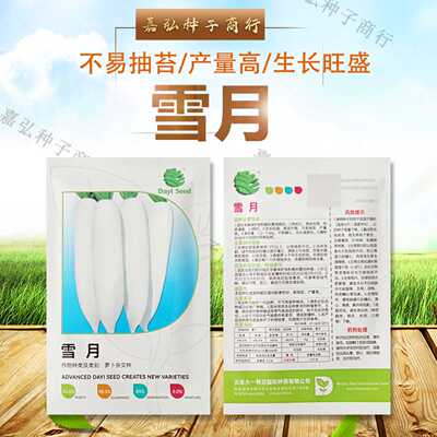 雪月白萝卜种子肉质清脆