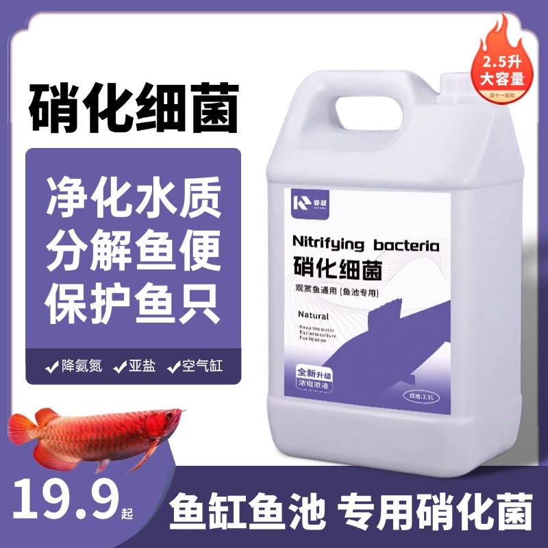 硝化活菌锦鲤鱼池净水净化水质分解污物浑水变清鱼缸养鱼净水剂