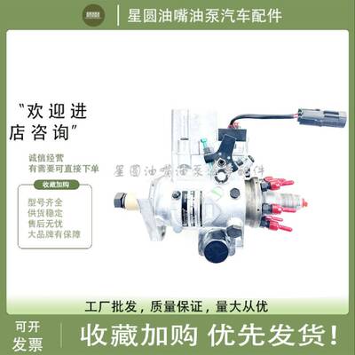 STANADYNE喷油泵高压油泵总成DB4627-5683 DB4627-5785 2643U646
