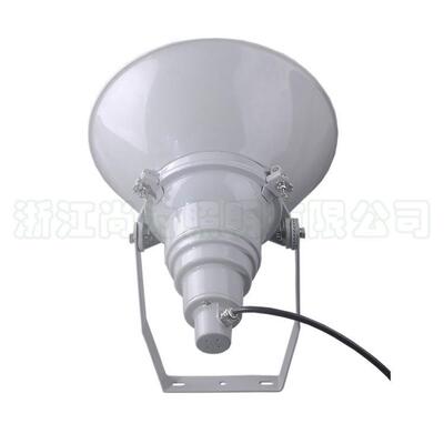 SW7500SW7530防振投光灯250W400W1000W尚为防水防震投光灯