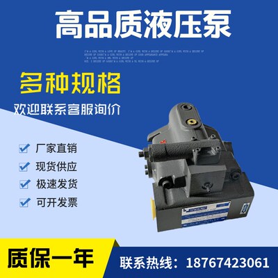柱塞泵东京计器TOKIMEC 油泵 P31VFR-20-CNC-21-J 东机美液压油泵