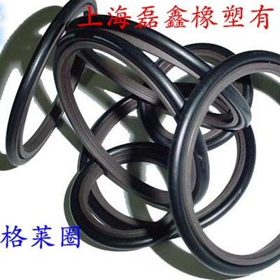 STD格a来圈GSF460*435.5*8.1(O型圈在内) 活塞组合油封PG孔用