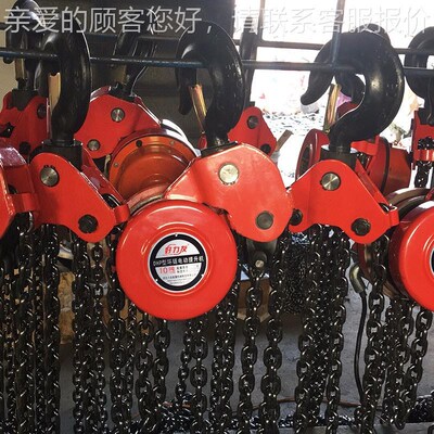 DHP-7.e5T家群吊环链起重葫芦7.5降T10T20T吨条升电动葫芦厂价链