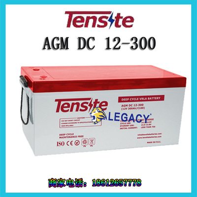 Tensite蓄电池AGMDC12-300免维护12V300AH光伏系统太阳能电池