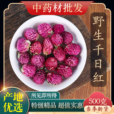 千日红中药材鱼饵添加剂仙千日红乾燥花茶泡水搭红巧梅玫瑰花500