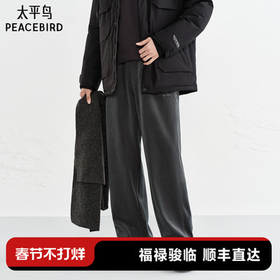 【商场同款】太平鸟男装 2025年冬季新款直筒卫裤休闲裤B2GMF4531