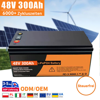 48V 300AH Wiederaufladbar LiFePO4 Batteriepack 51.2V 100AH