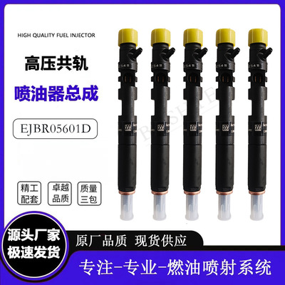 德尔福雷诺1.5DCi共轨喷油器