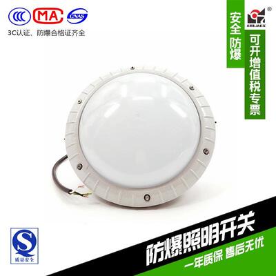 免维护LED三防灯上海新黎明国标FZD130020W~80W