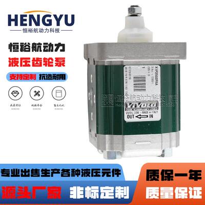 XV-1P XV-2P X2P4702EBBA X1P1802FJJA液压泵