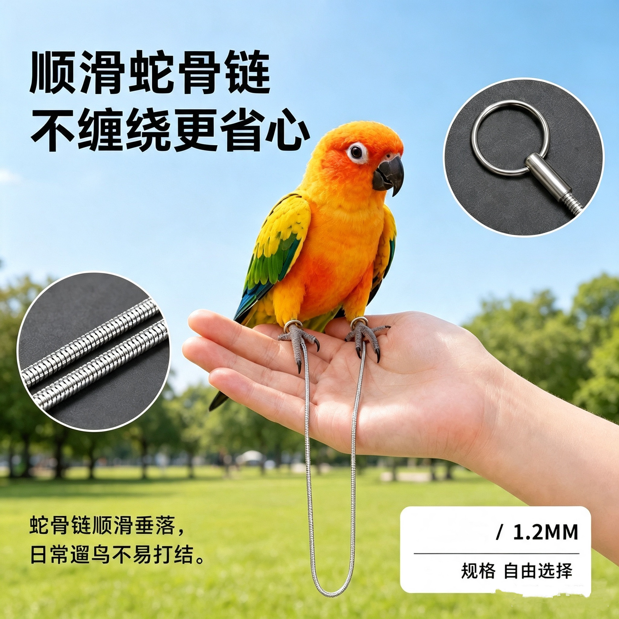 304不锈钢鸟用放飞绳鹦鹉脚链耐咬耐用便携脚环套装蛇骨链不打结