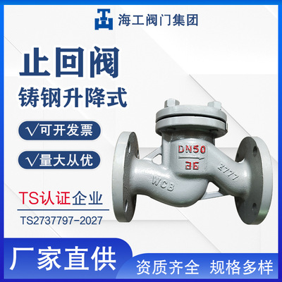 铸钢升降式止回阀H41H-16C法兰卧式逆止阀DN50防回流防逆流