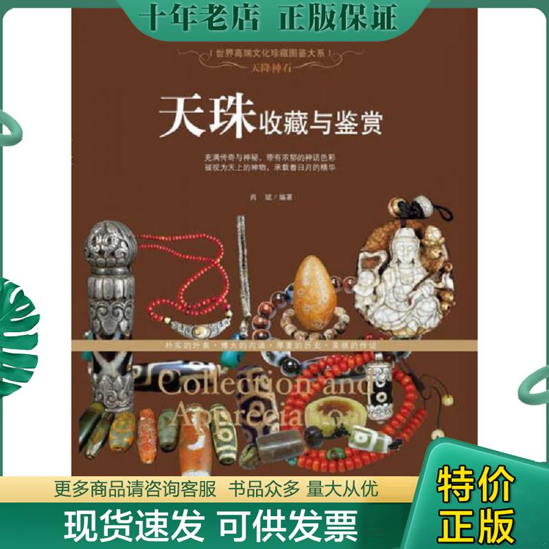 正版现货9787510453083 正版现货 天珠 天珠收藏与鉴赏世界高端文化珍藏图鉴大系金刚菩提天珠净化古珠诠释与文玩鉴定西藏九眼天珠