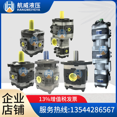 voith福伊特IPC IPV IPVS IPVAP IPVP3 4 5 6 7 101 601 111油泵