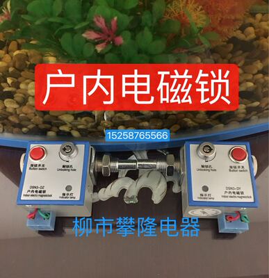 户内高压柜电磁锁DSN3-DY 户内电磁锁DSN3-DZ电磁锁