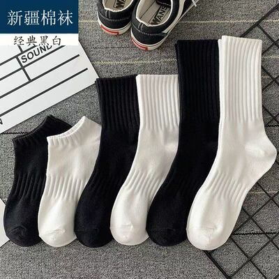 【新疆棉】10A抗菌袜子四季款男女经典纯色长筒袜透气吸汗防臭袜