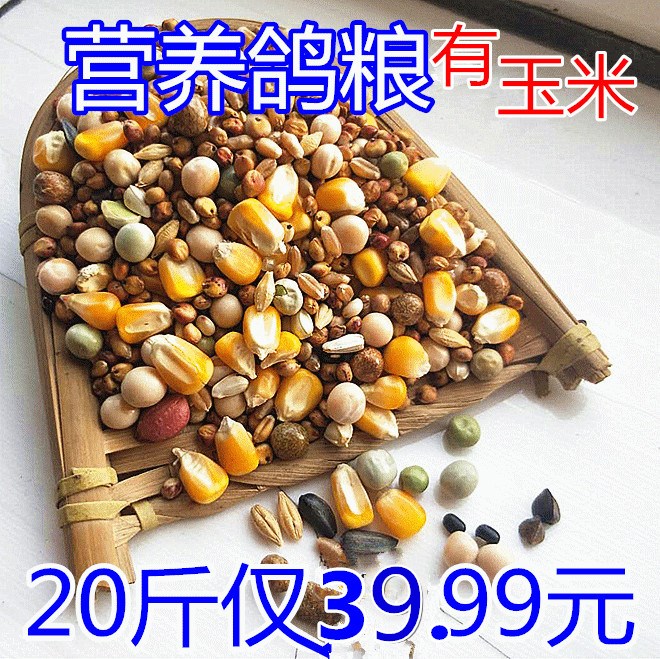 好货新鸽粮 20斤有玉米鸽粮 营养饲料赛鸽信鸽肉鸽粮鸽子食包邮19