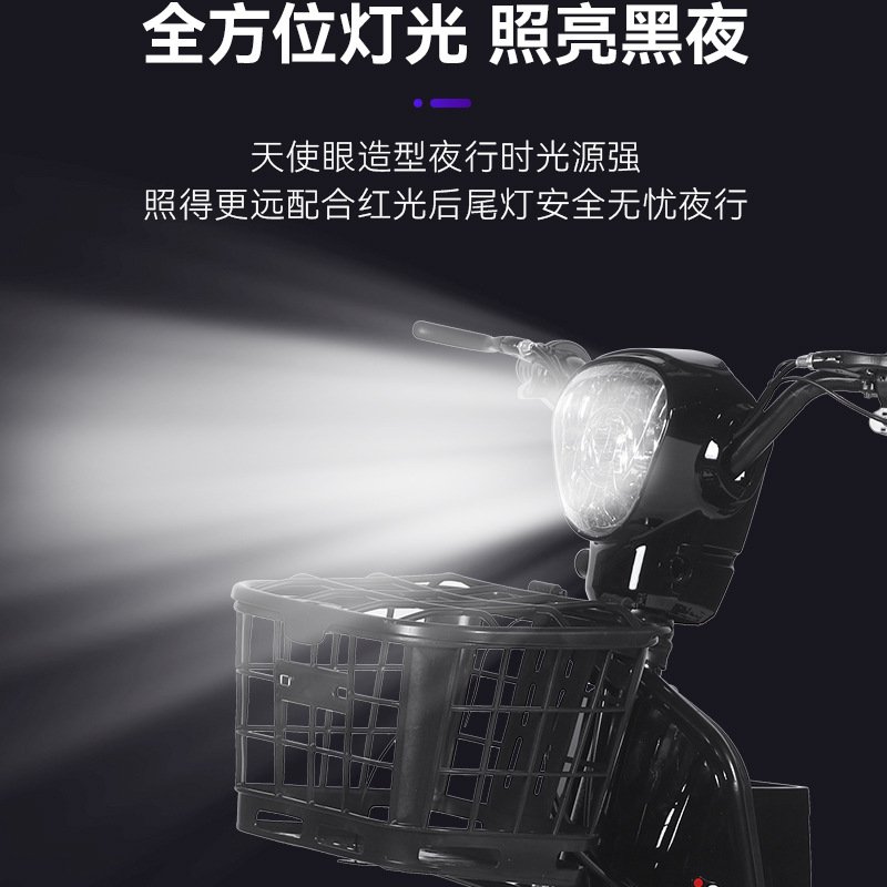 源头厂家新款电动车金鹰轻便长续航电动自行车双人电单车