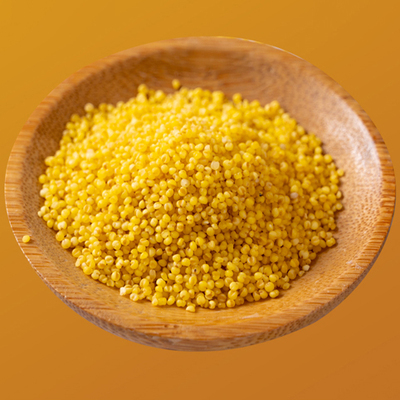 抽奖专用1释谷东北甄选黄小米400g*1袋肇东小米当季新米浓香四溢