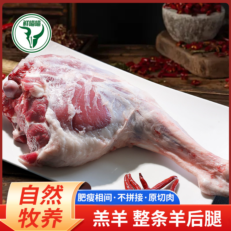 羊腿新鲜整只现杀去骨生羊腿滩羊肉羊小腿切块羔羊后腿