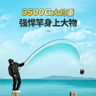 速发烈火战马G版黑坑竿竿轻超硬飞磕飞抄超罗飞战斗竿