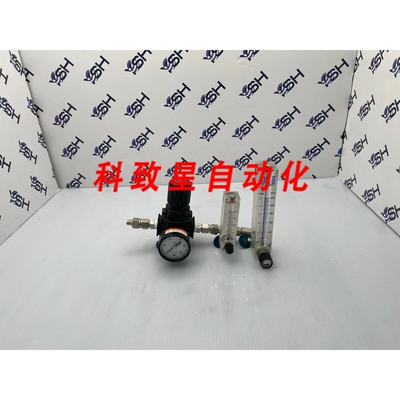 工业配件仪器流量计GAGE W/USG METER