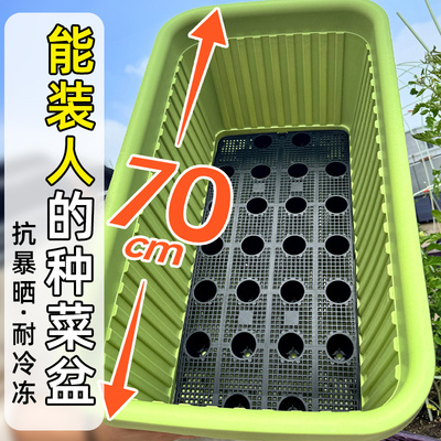 原起点阳台种菜盆大号长方形