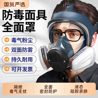 放毒防毒面具全面罩硫化氢