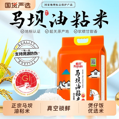舶元广东韶关马坝油粘米5kg*1袋南方籼米米煲仔饭优选生态真空