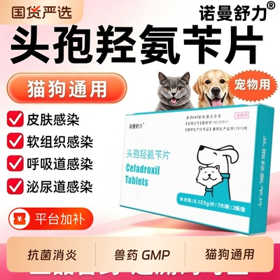 头孢羟氨苄片狗狗猫咪消炎药宠物尿道感染感冒皮肤病脓皮症内服