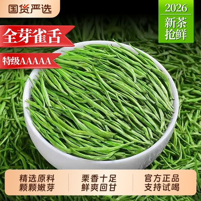 2026新茶明前雀舌特级绿茶浓香型贵州湄潭翠芽高山毛尖茶叶春茶