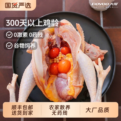 顺丰包邮清真黄油老母鸡