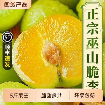 脆李5斤当季新鲜|超1000次加购