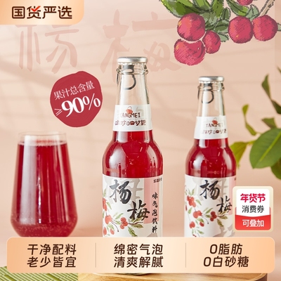 乐趣十分杨梅气泡饮料0脂肪0白砂糖果汁干净配料清爽解腻健康好喝