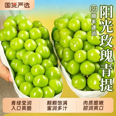 阳光玫瑰葡萄新鲜水果5斤葡萄