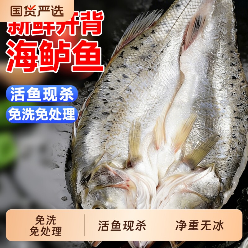 海鲈鱼开背新鲜冷冻鲜活深海七星鲈鱼海鱼卢鱼水产烤鱼半成品商用