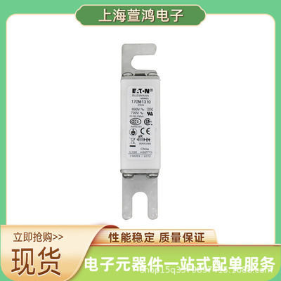 原盒170M3017 170M3018 170M3019 170M3020陶瓷熔断器 熔芯标准