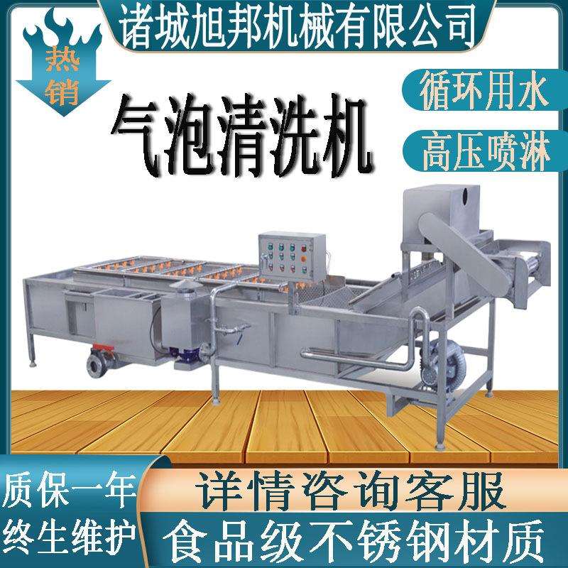 全自动喷淋式果蔬洗果机 预制菜多功能清洗设备 提升式气泡清洗机