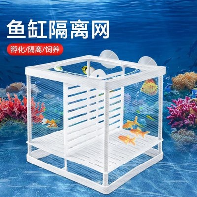 速发观离鱼隔赏网鱼缸暂养盒孵卵网格箱产化器小鱼苗分离水中网箱