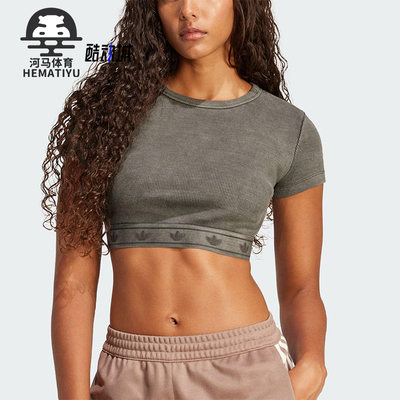 Adidas/阿迪达斯正品三叶草女士针织短款经典时尚透气短袖JD0041