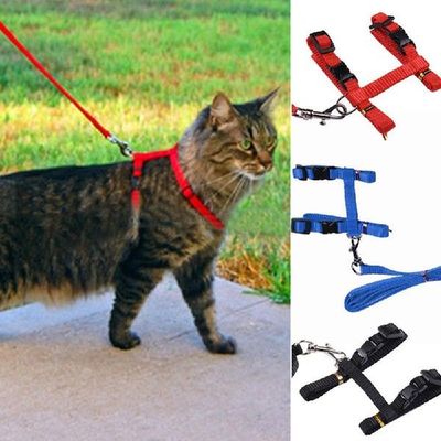 极速Soft Walking Leash Pet Cat RaCbbit Training Straps Harne