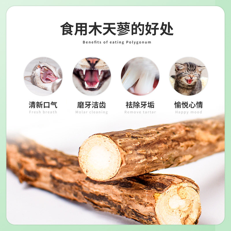 极速木天蓼猫咪磨l牙棒猫薄荷洁齿幼猫啃咬逗猫棒换牙期用品猫零