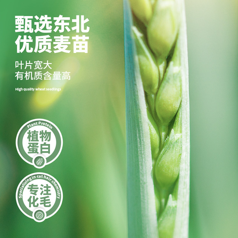 极速猫草粒即食去化毛q球片猫薄荷饼干磨牙洁齿冻干磨牙棒猫咪零