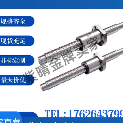 滚珠丝杠丝杆XSVR BSE BSS BSSC1505 1210 1510 1520 2010 2020