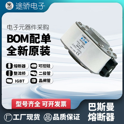 伊顿巴斯曼170M7124/7125/7126
