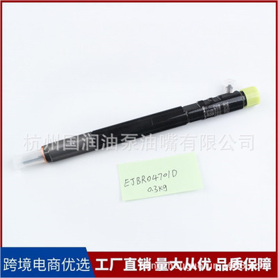 EJBR04701D 喷油器适用 双龙爱腾/享御双龙柴油德尔福发动机4701d