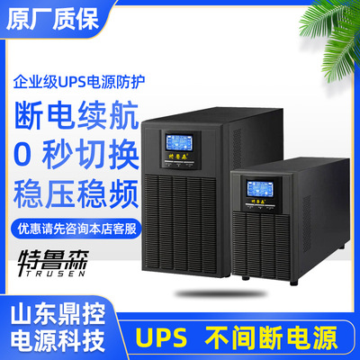 特鲁森GD11F10000C容量1000VA900W风场用UPS不间断电源高频标机