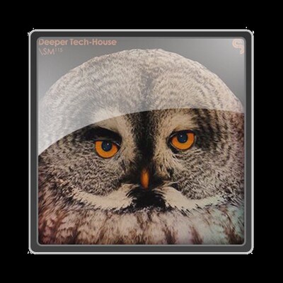 极速Sampdle Magic Deeper Tech-House MULTiFORMAT
