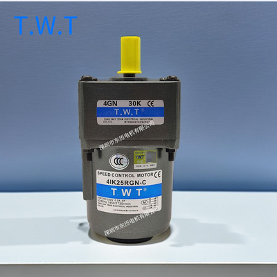 TWT厦门东炜庭电机4IK25RGN-C减速机4GN30K T.W.T马达齿箱MOTOR
